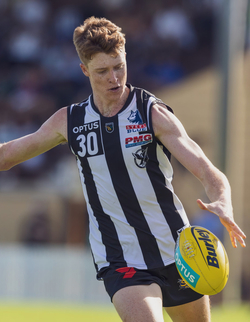 Swans overrun by Falcons in Notte's 250th - Swan Districts FC