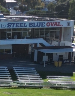 Swans Celebrate Steel Blue's 20 Year Anniversary - Swan Districts FC